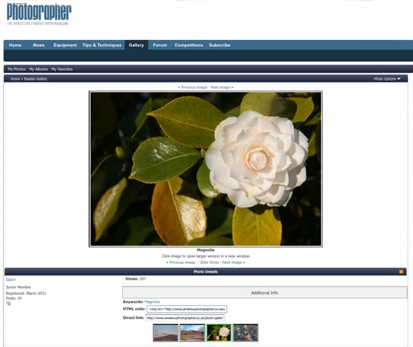 How to embed an image in a forum post | Amateur Photographer