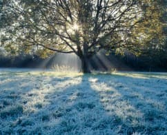 Joe Cornish: Photographing 'Climate change'