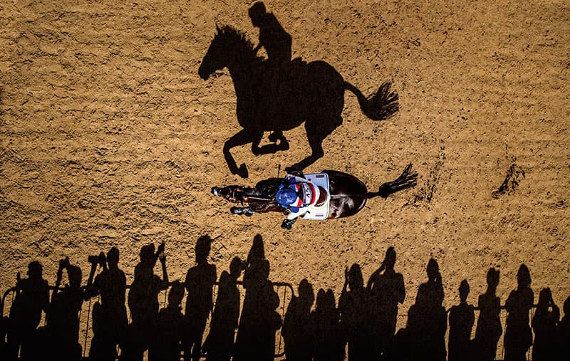 Photo Insight with Adrian Dennis - Horse shadow | Amateur Photographer