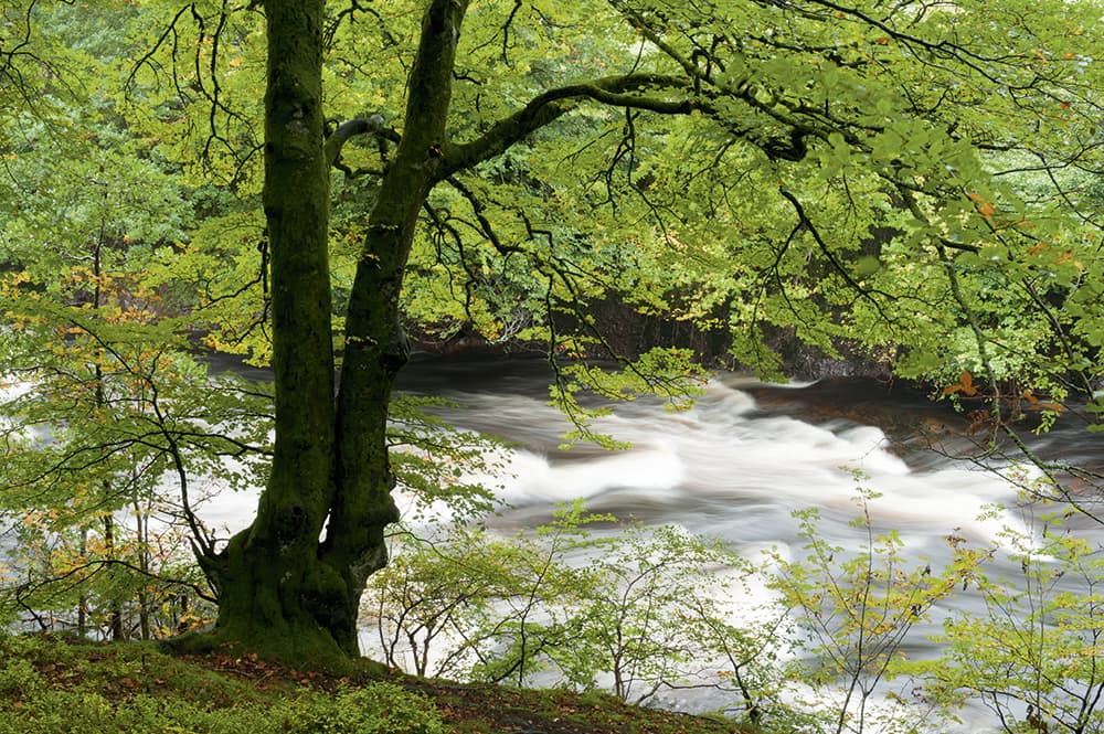 How to photograph Gannochy Gorge in Angus, Scotland: top tips and best ...