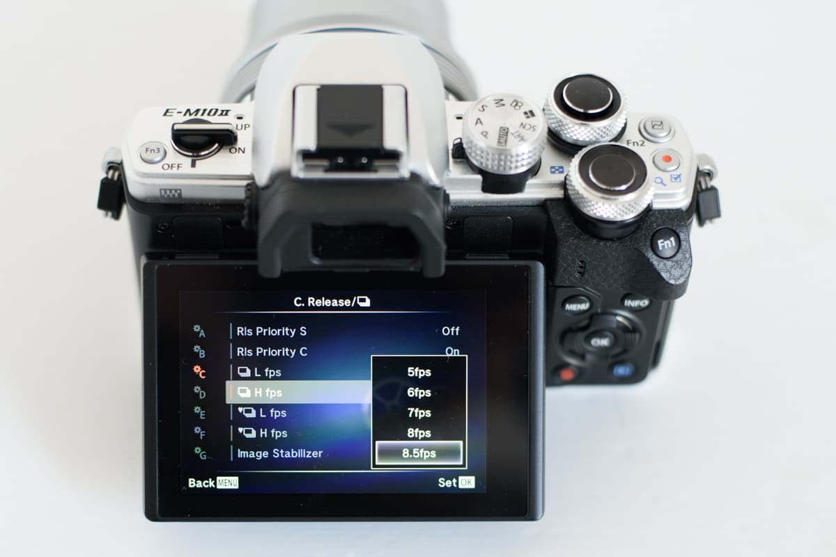 18 differences between the Olympus OM-D E-M10 II vs the E-M5 II ...