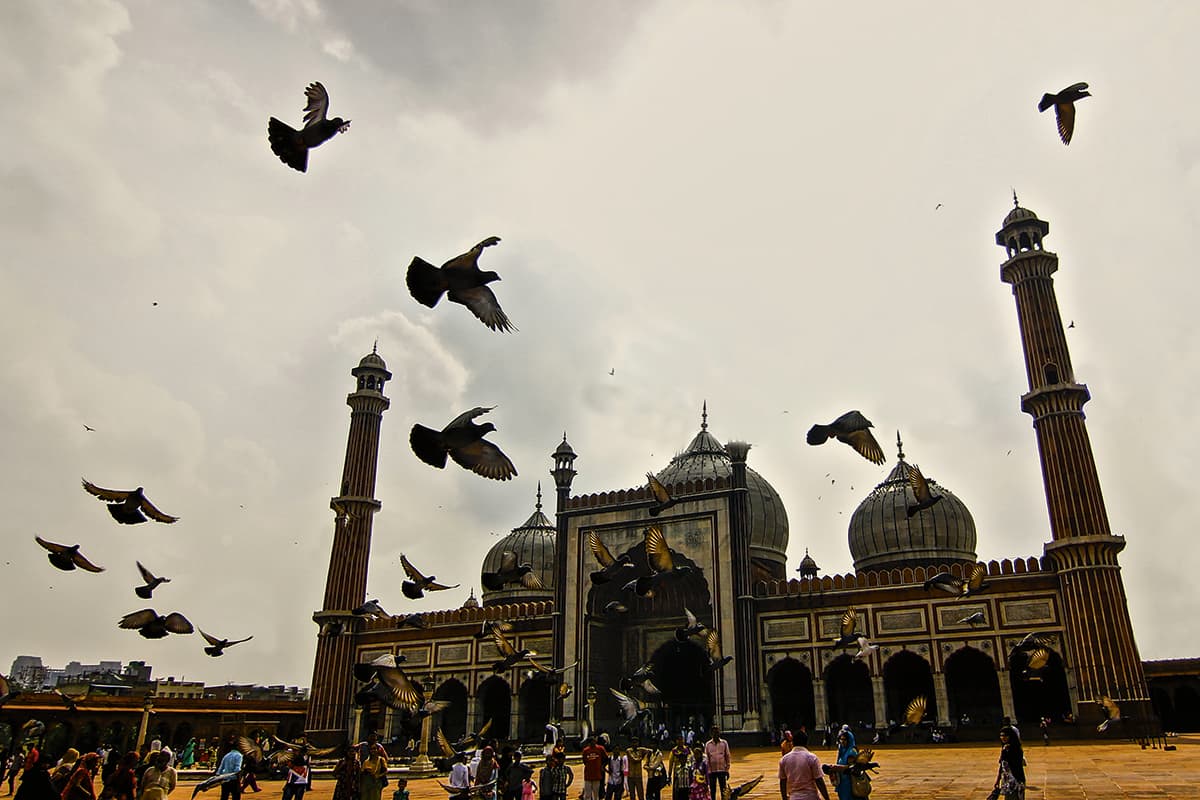 Photo Appraisal: Mosque and pigeons | Amateur Photographer