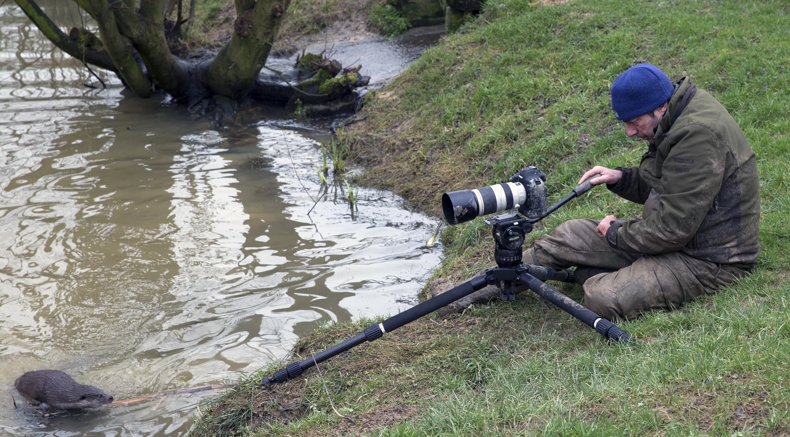 Canon EOS-1D X Mark II flagship to star at free Park Cameras events