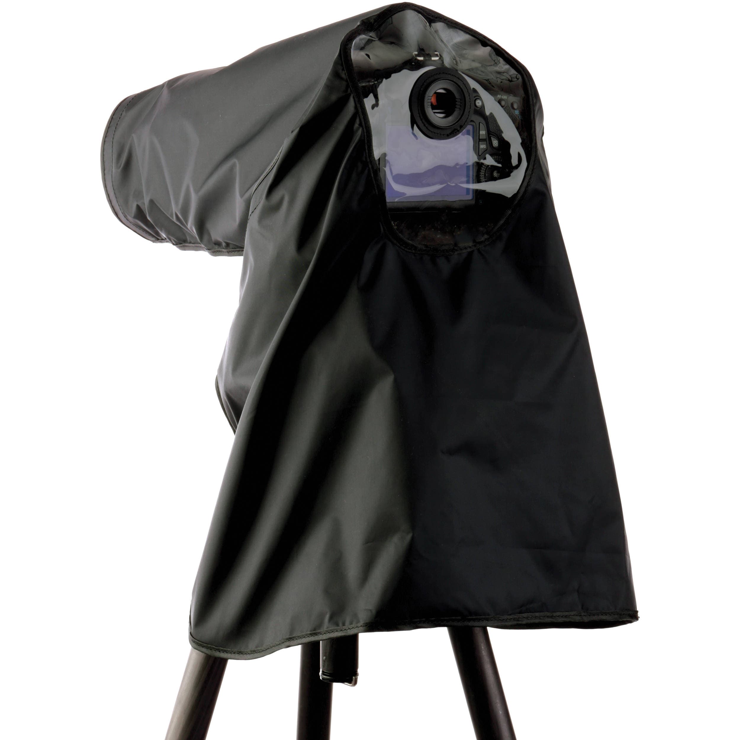 Perfect storm: Advice for wildlife photography in bad weather | Amateur ...