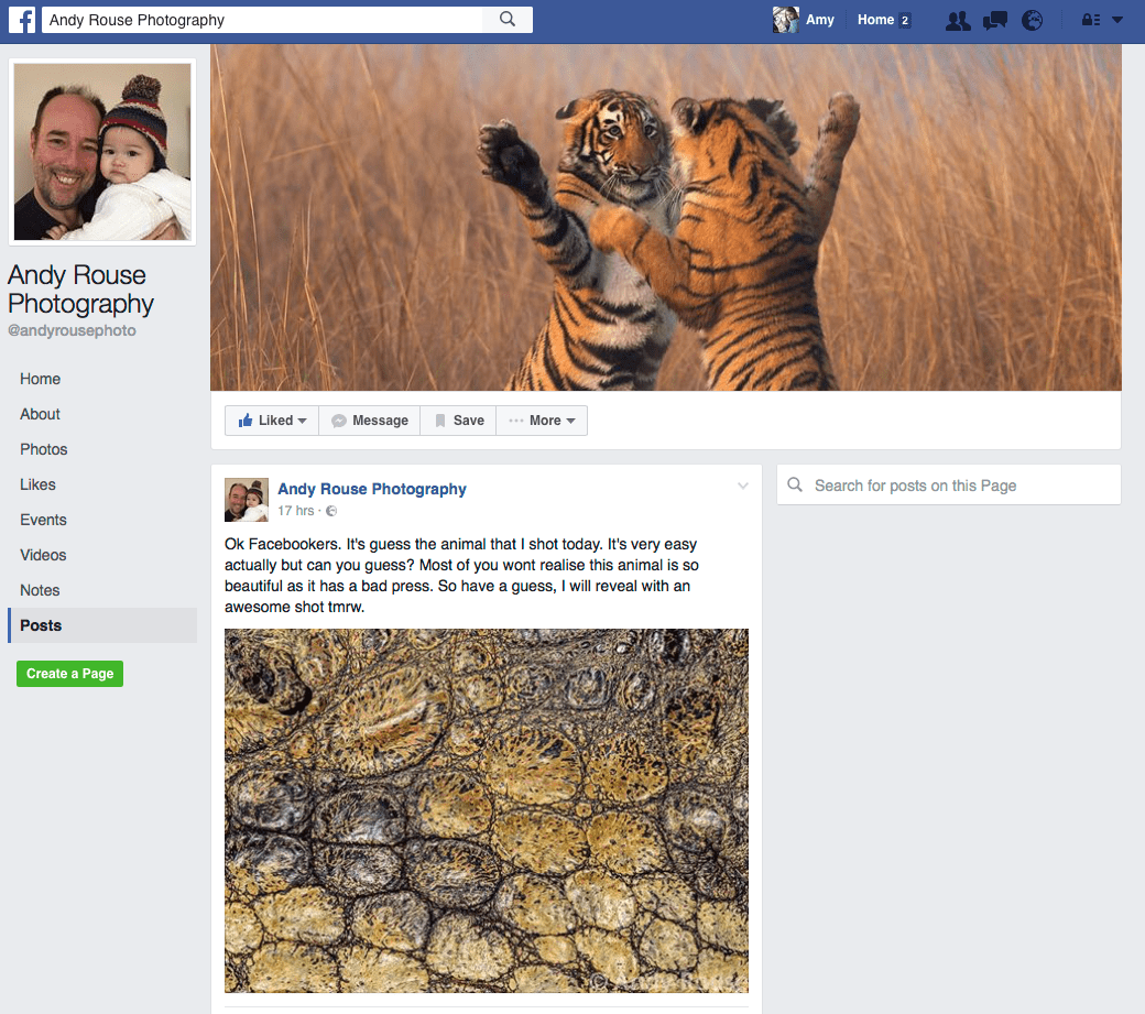 8 Facebook photography pages to follow | Amateur Photographer