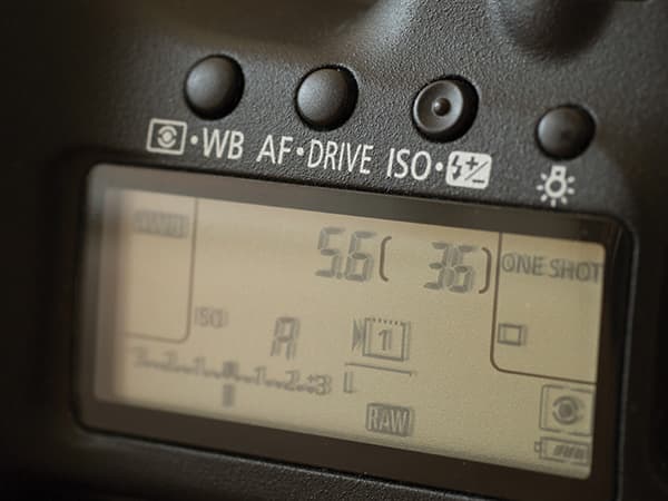 Using the autofocus modes on your Canon DSLR | Amateur Photographer