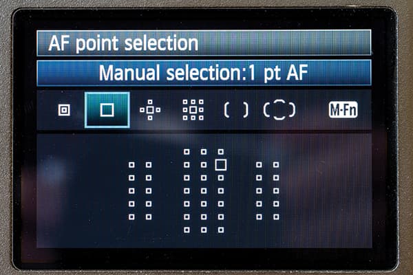 Using the autofocus modes on your Canon DSLR | Amateur Photographer