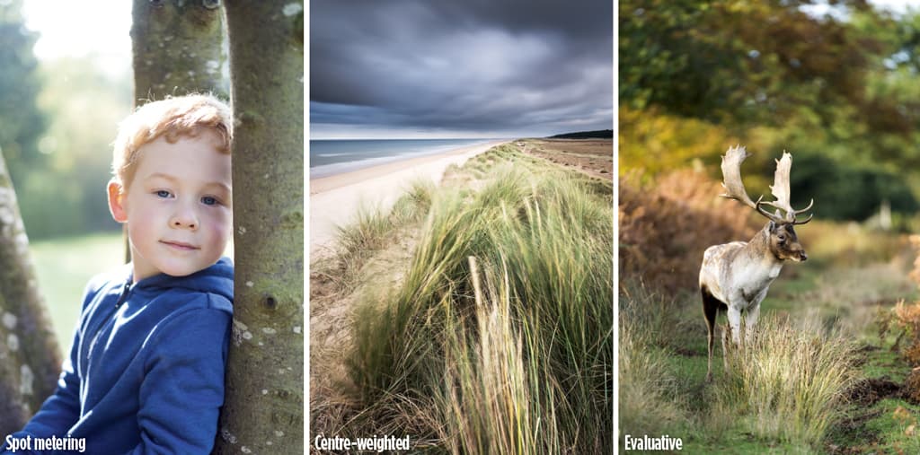 30 common photography problems solved | Amateur Photographer