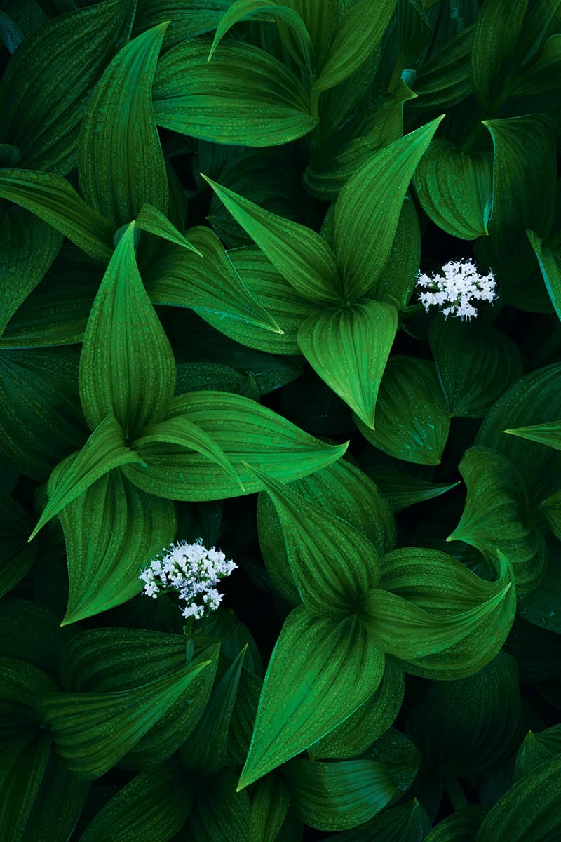 Alex Noriega, US Landscape Photographer of the Year, talks about his ...