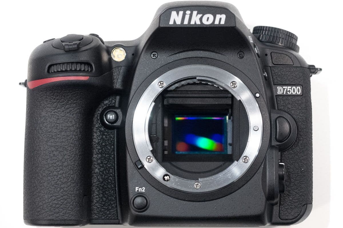 Nikon D7500 vs Nikon D500 | Amateur Photographer