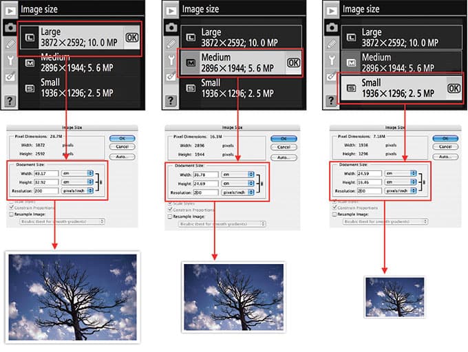 15 printing problems solved | Amateur Photographer