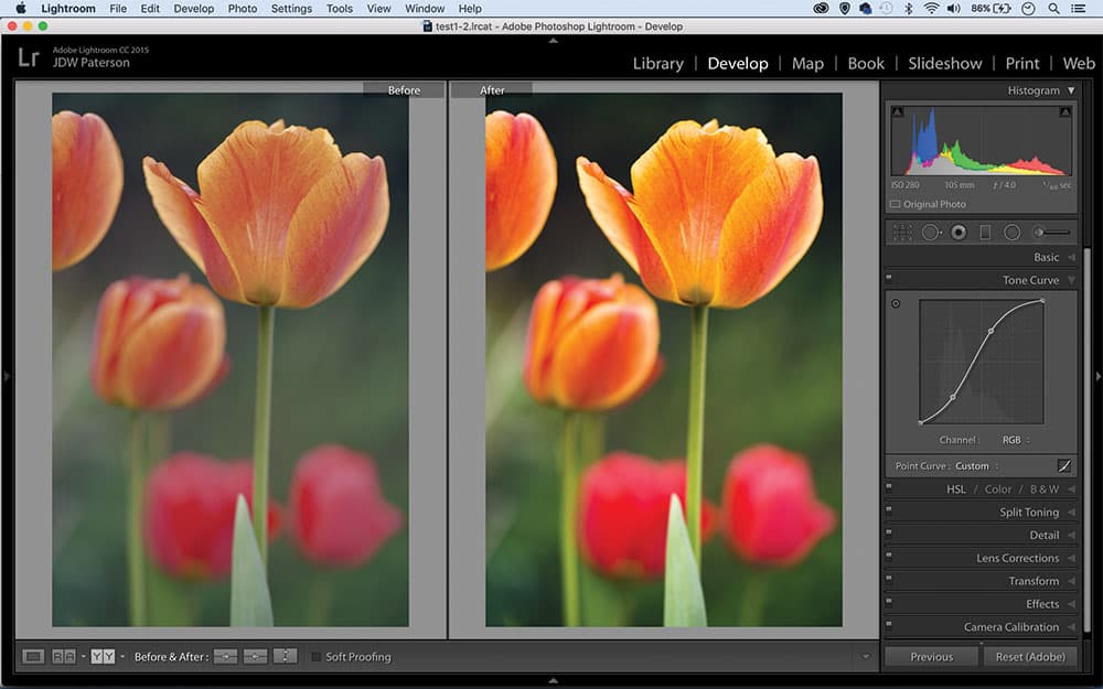 20 Lightroom tips on mastering the tone curve | Amateur Photographer