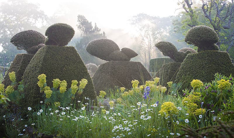Garden photography tips | Amateur Photographer