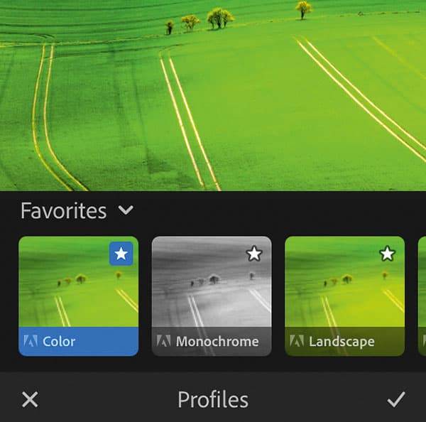 How to use Adobe Camera Raw's latest profiles | Amateur Photographer