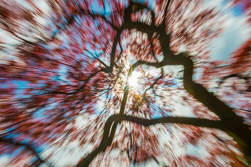 Photography rules worth breaking | Amateur Photographer