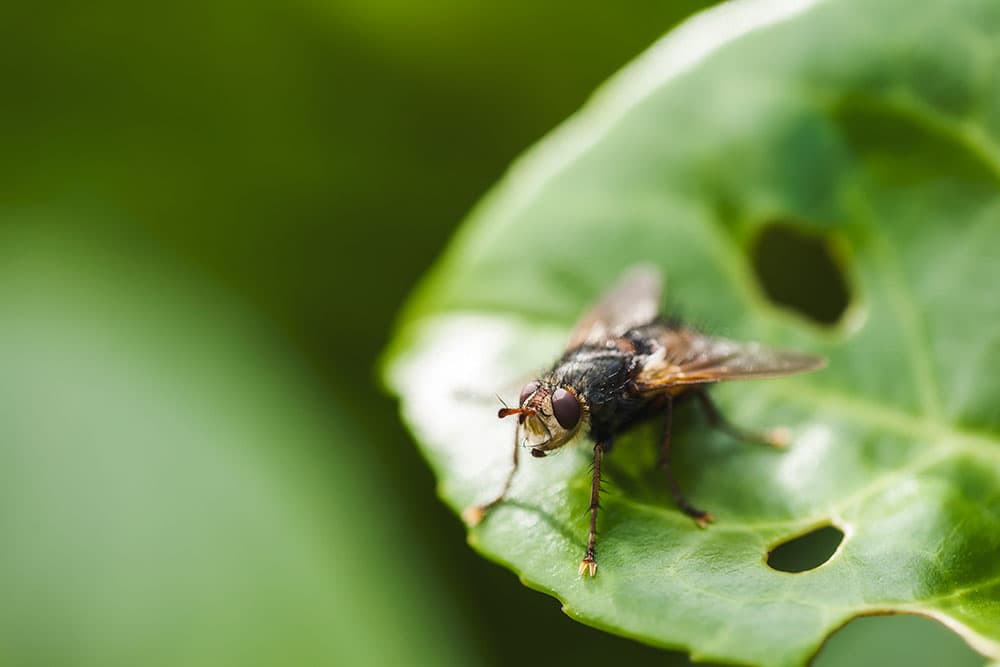 Get sharper shots handheld | Amateur Photographer