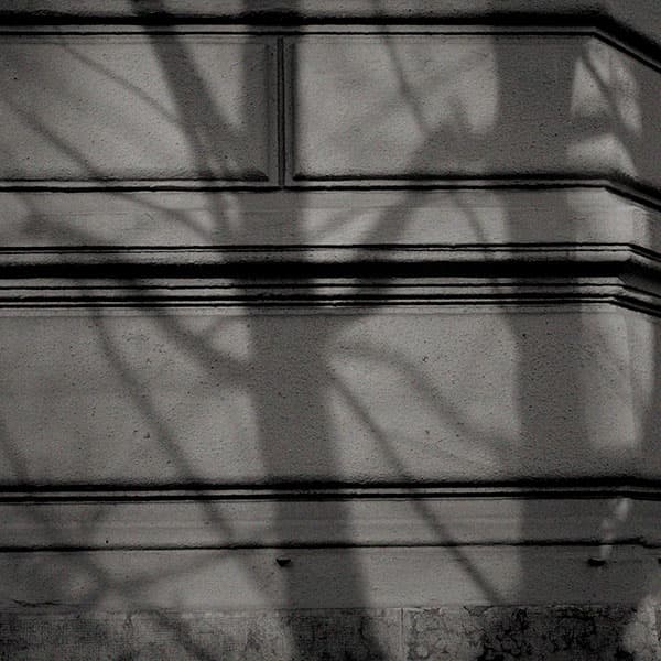 Choosing the best paper for film printing | Amateur Photographer