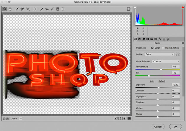How to use Camera Raw as a Photoshop filter | Amateur Photographer