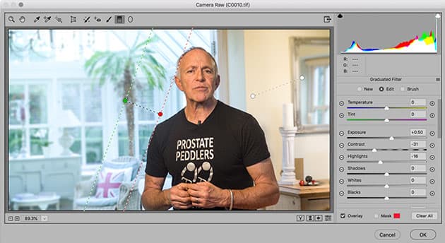 How to use Camera Raw as a Photoshop filter | Amateur Photographer