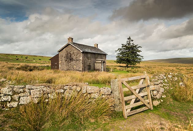 Our best-ever landscape, portrait and still life photography tips ...