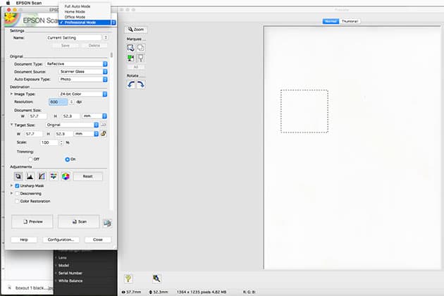 How to make scanner art: techniques and ideas