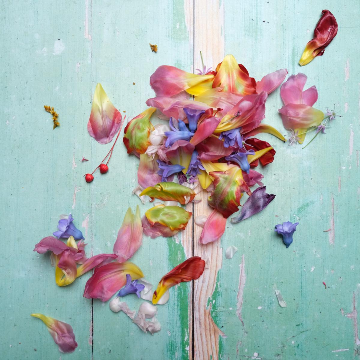 Still life photos: how to capture stillness | Amateur Photographer