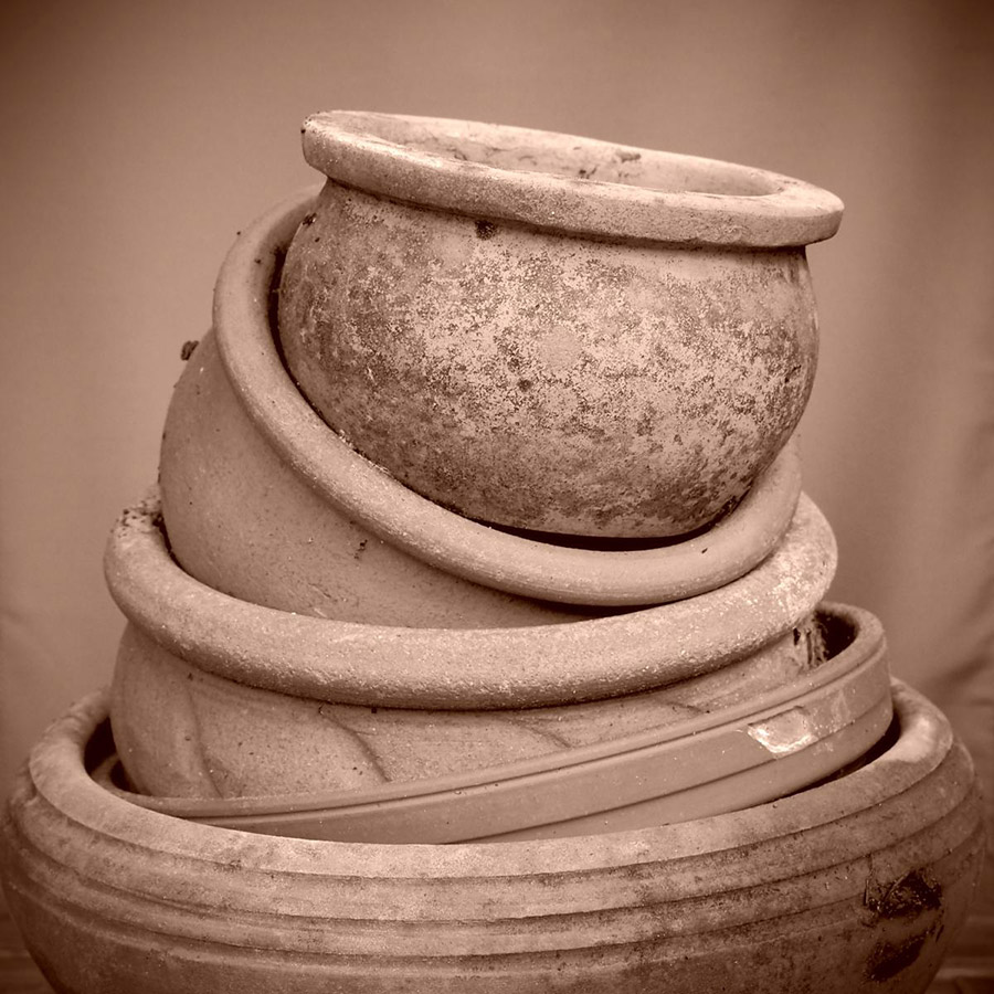 Still life photos: how to capture stillness | Amateur Photographer