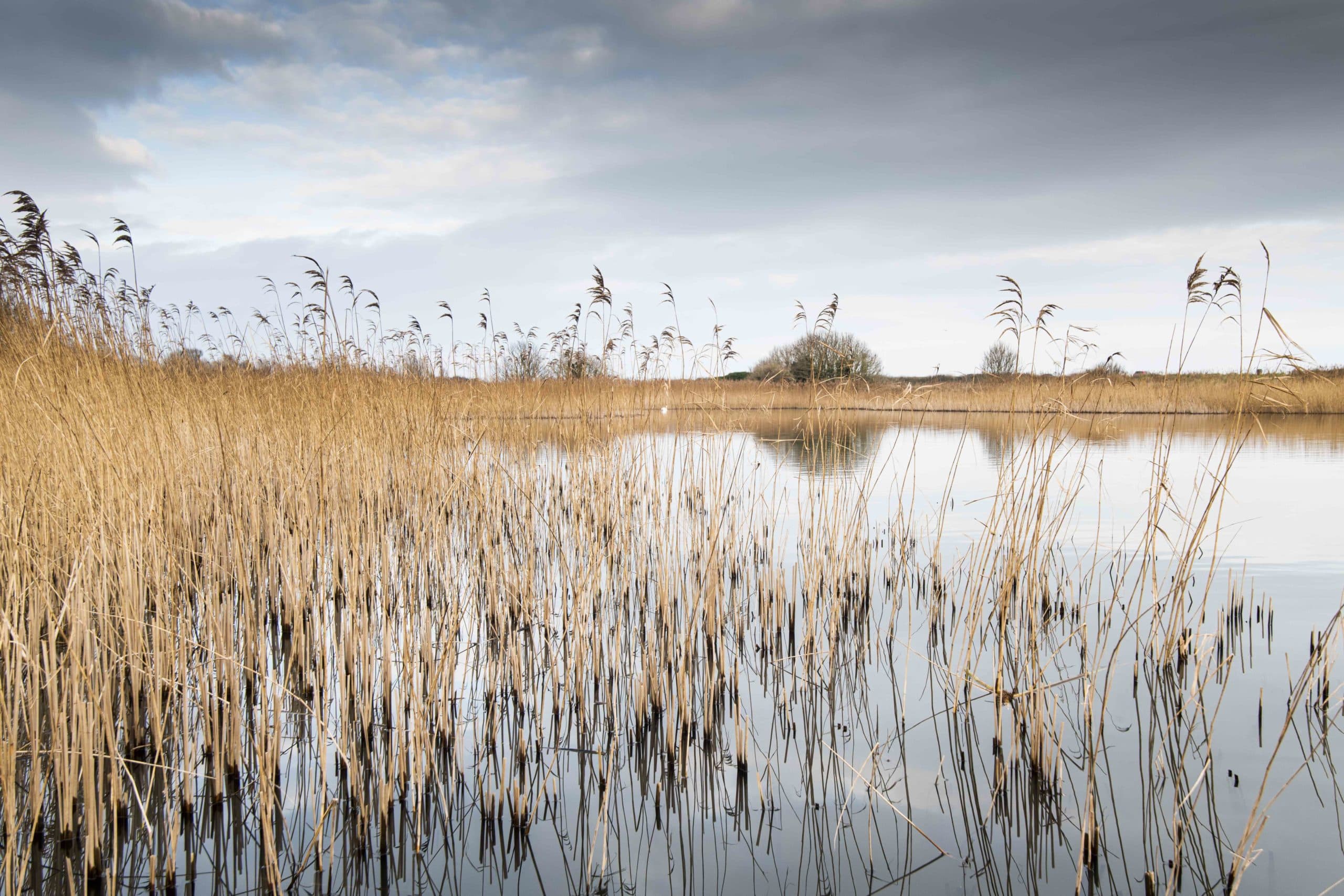 Shots not sharp enough? Get sharper shots today | Amateur Photographer