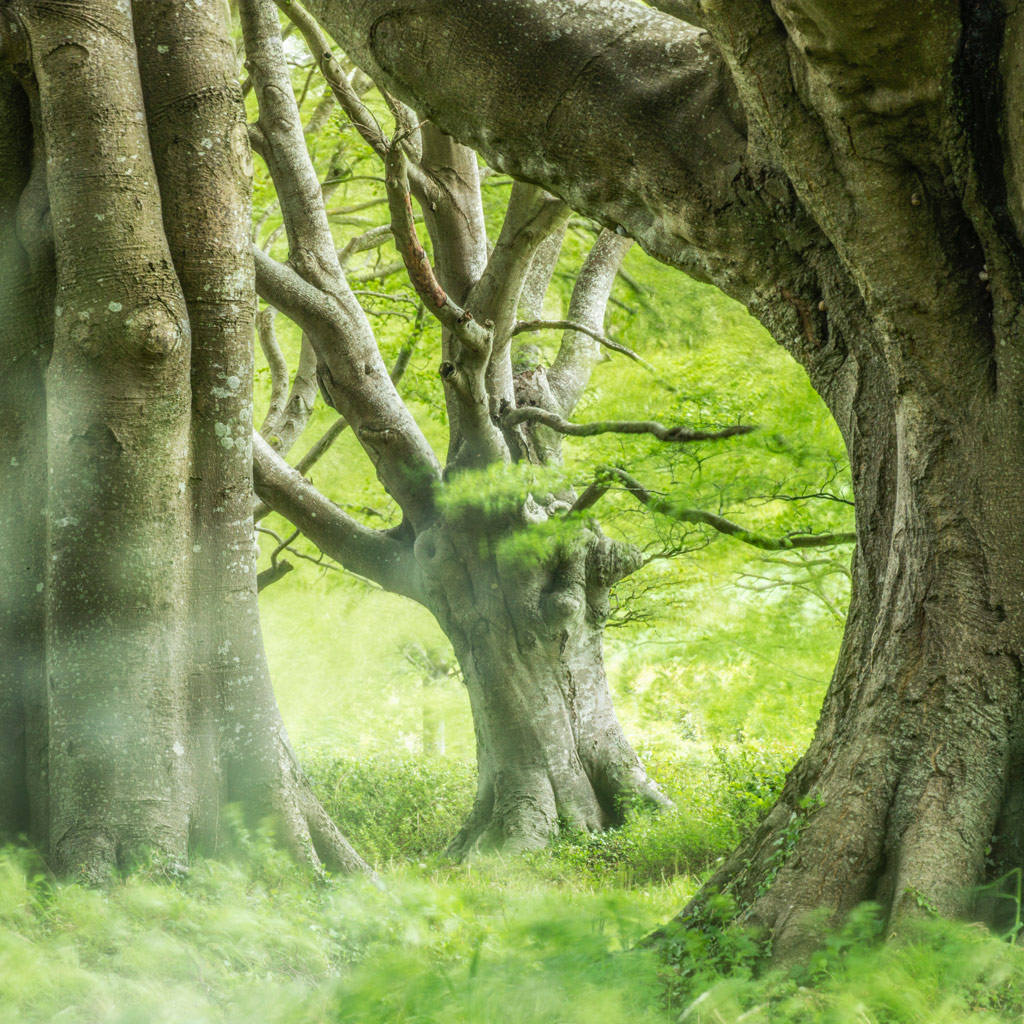 Master long-exposure landscapes | Amateur Photographer
