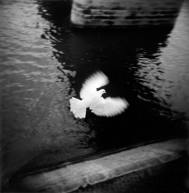 How to get great shots on a cheap Holga film camera | Amateur Photographer