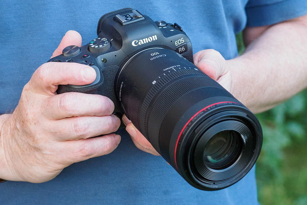 This Canon macro lens is cheaper than it's ever been | Amateur Photographer