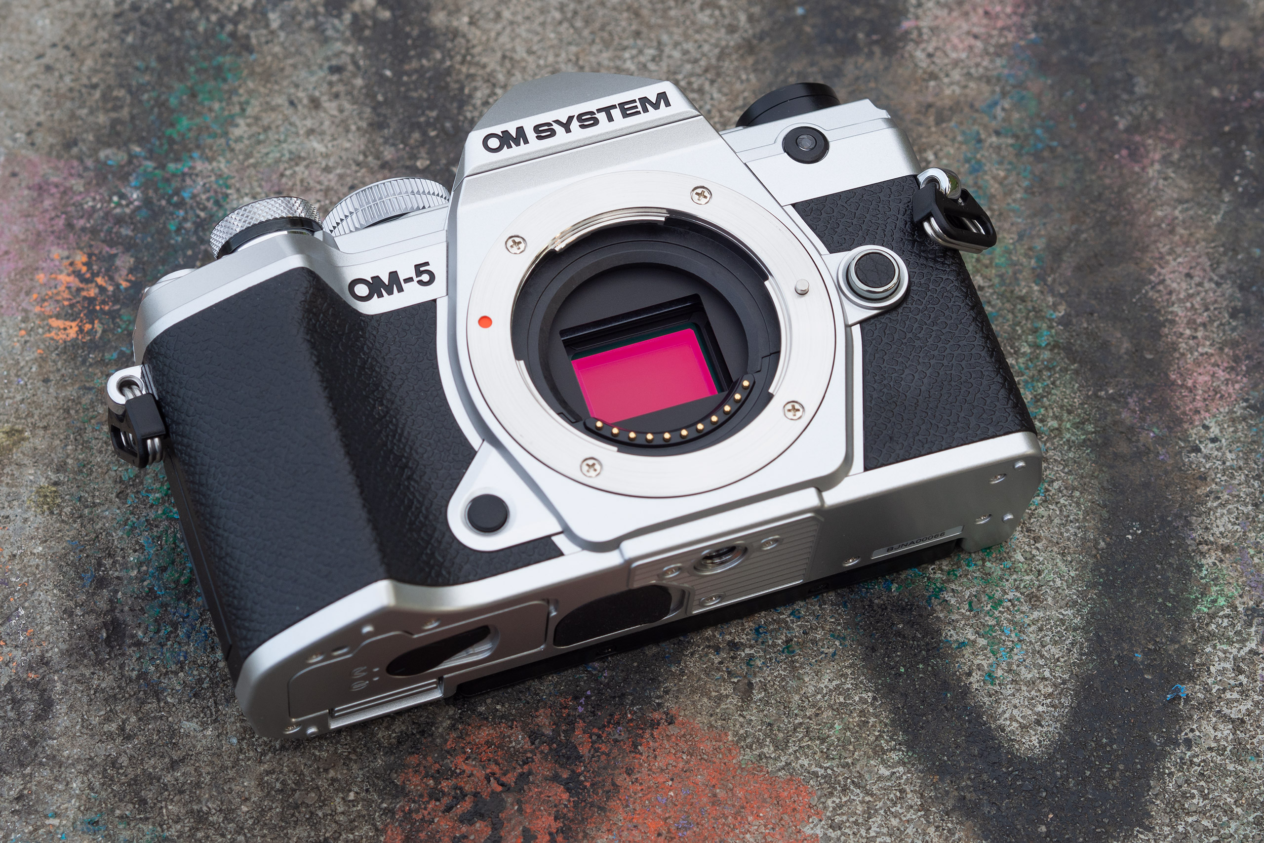 OM System OM-5 Review: impressive all-rounder | Amateur Photographer