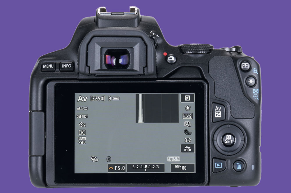 Canon EOS 250D / Rebel SL3 Review – last hurrah for DSLRs | Amateur ...