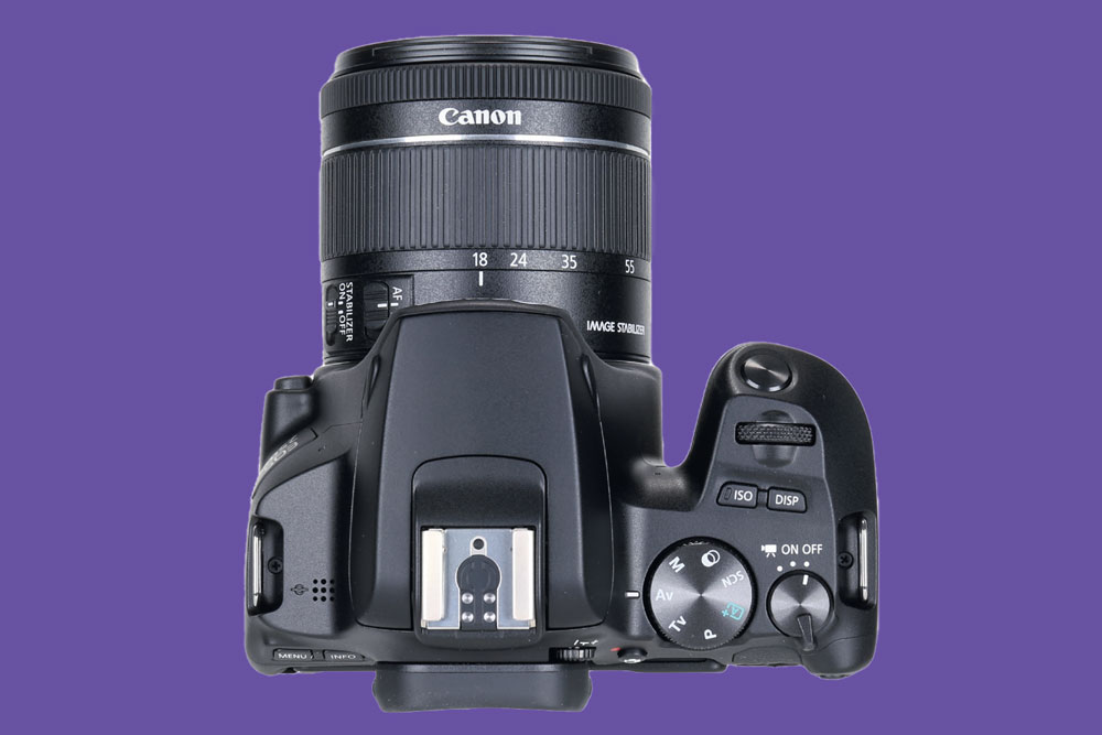 Canon EOS 250D / Rebel SL3 Review – last hurrah for DSLRs | Amateur ...
