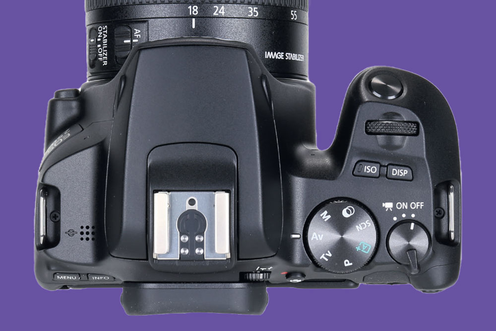 Canon EOS 250D / Rebel SL3 Review – last hurrah for DSLRs | Amateur ...