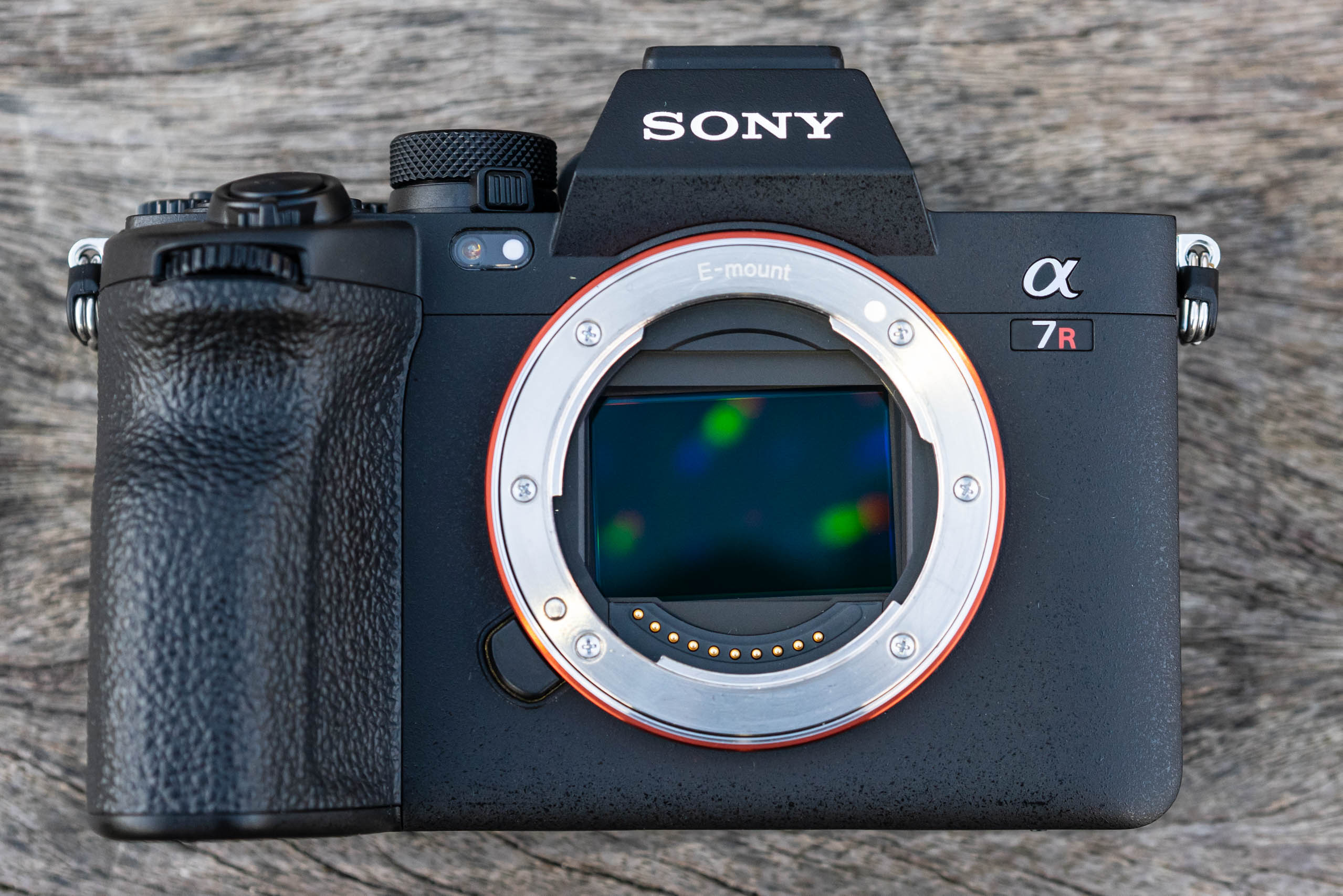 Sony Alpha A7R V full review - high quality at a high price | Amateur Photographer
