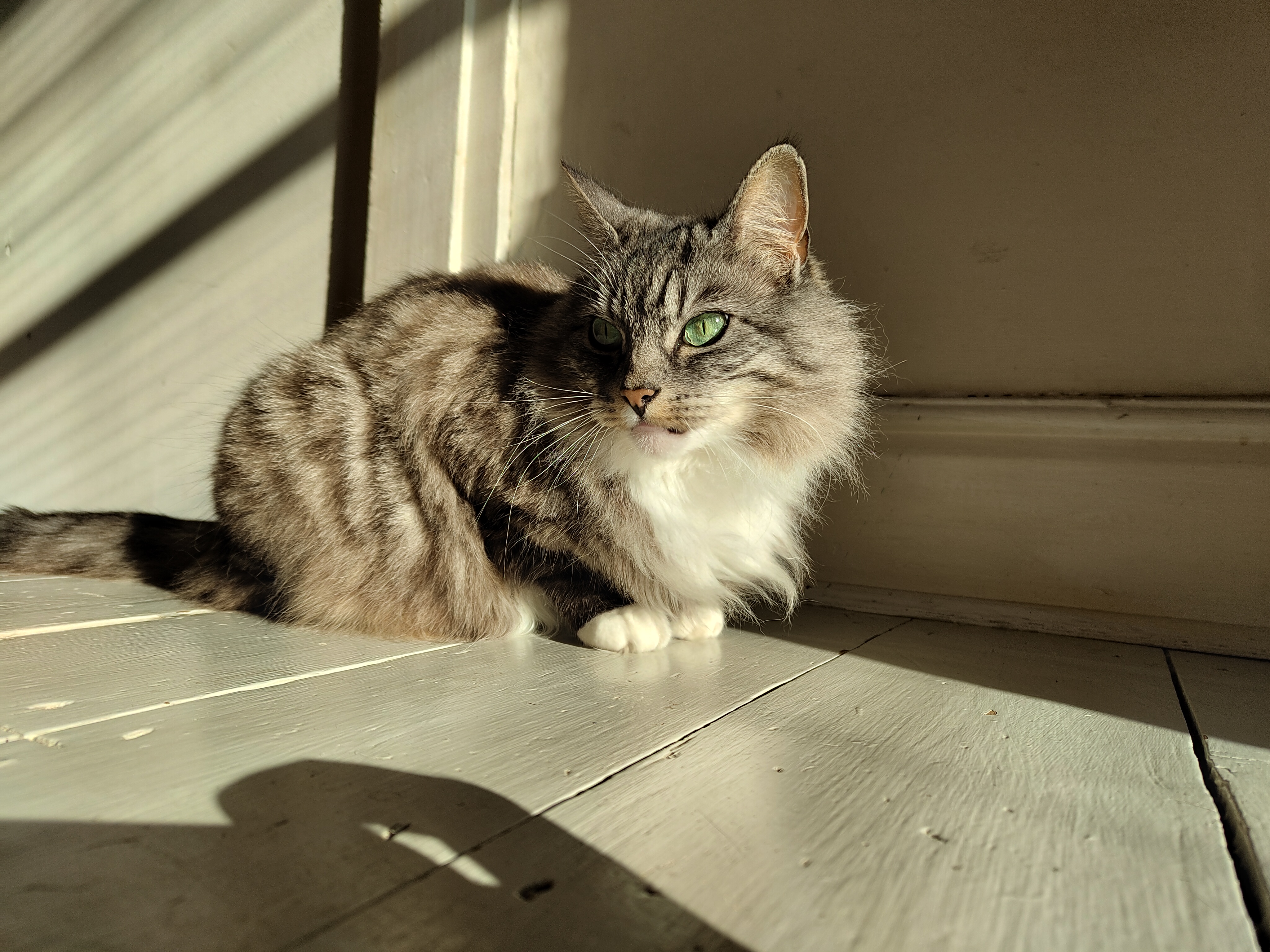 Nothing Phone 1 Review - More bang for your buck | Amateur Photographer