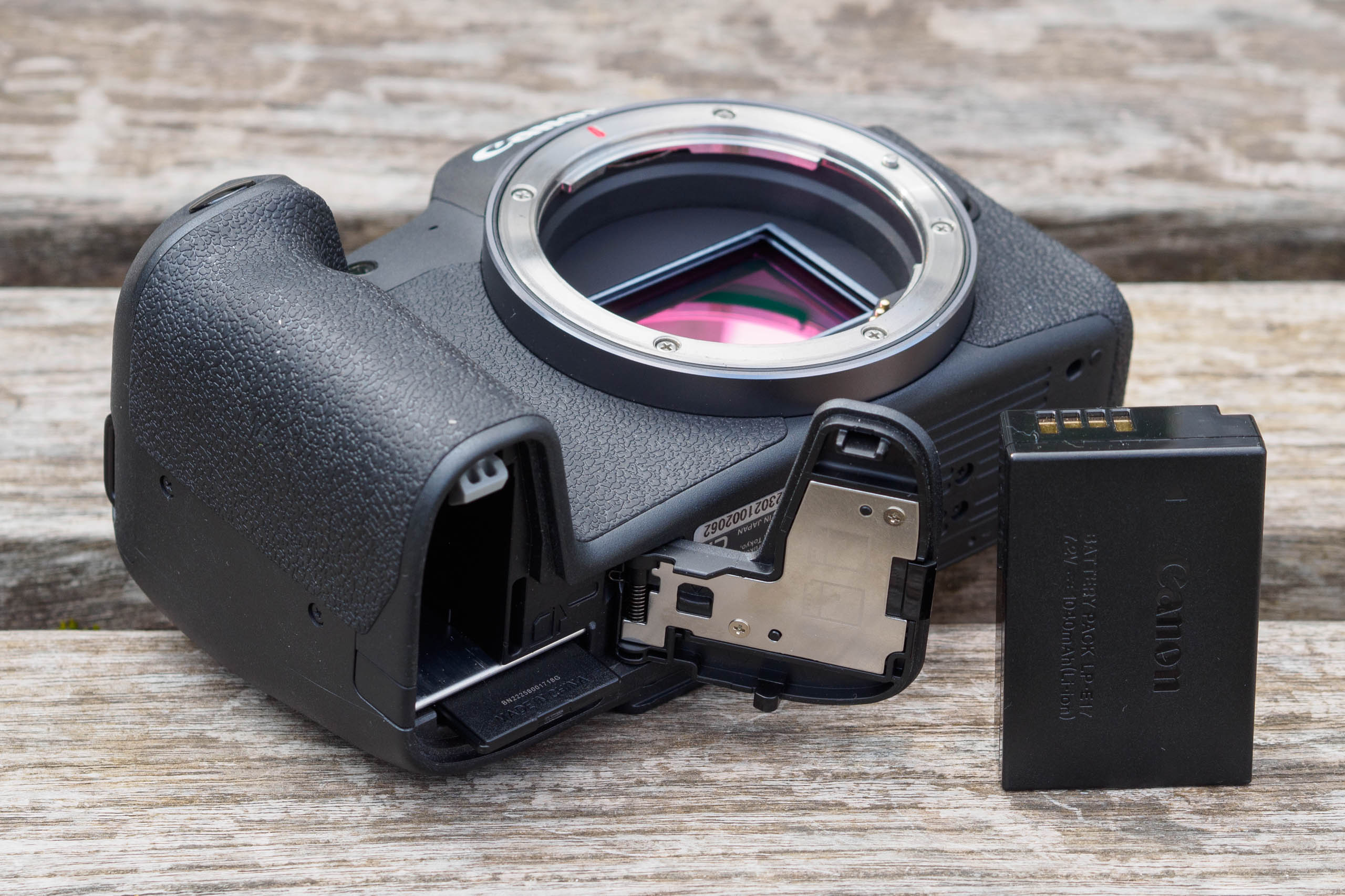 Canon EOS R8 in-depth review - full-frame enigma | Amateur Photographer