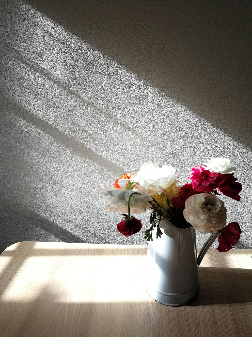 How to set up a still life studio | Amateur Photographer