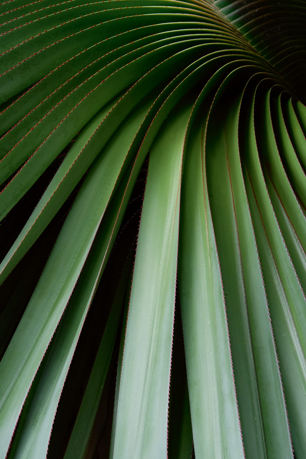 How to get pin-sharp close-up and macro shots | Amateur Photographer