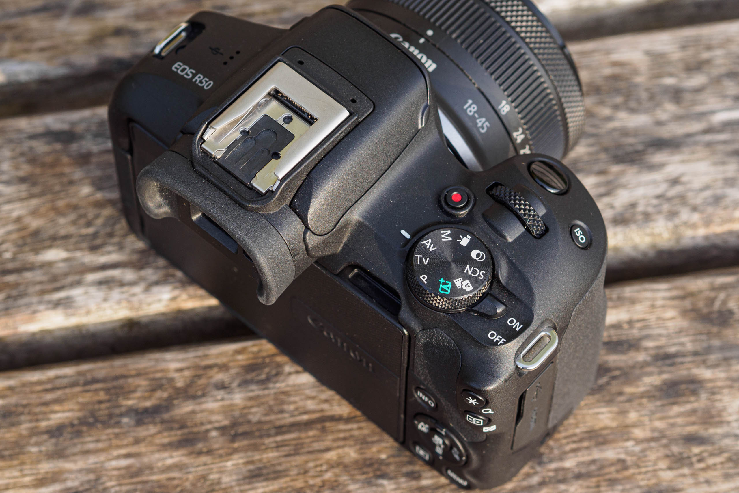 Canon EOS R50 in-depth review: a compact quirky genius | Amateur ...