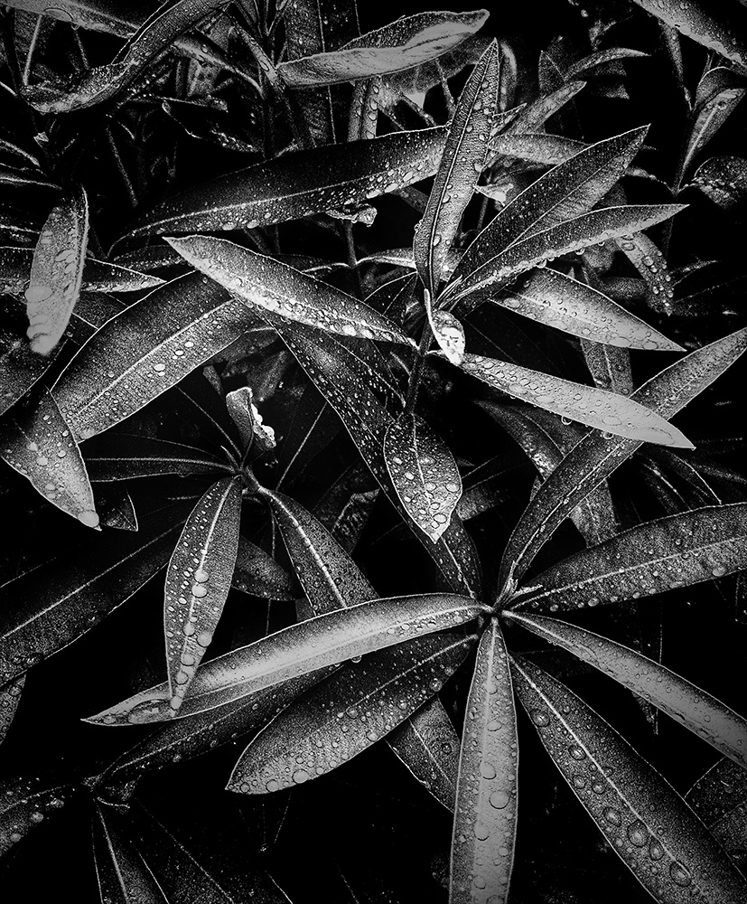 Samsung S20 FE - Picture of the Week | Amateur Photographer
