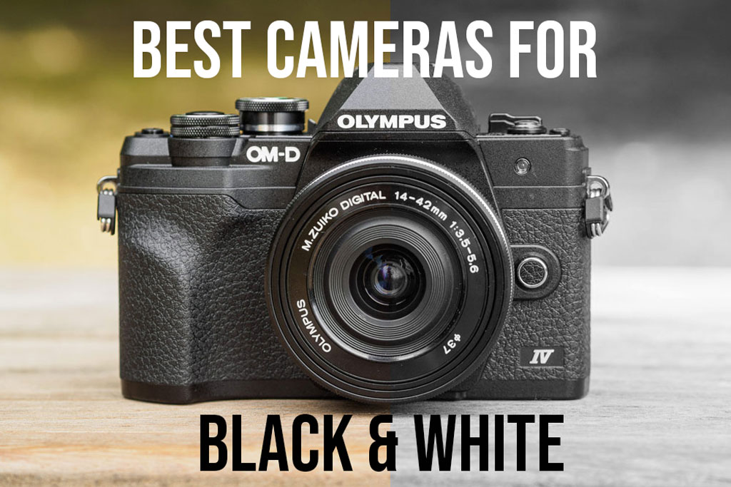 Best cameras for photojournalism and documentary in 2025 | Amateur Photographer