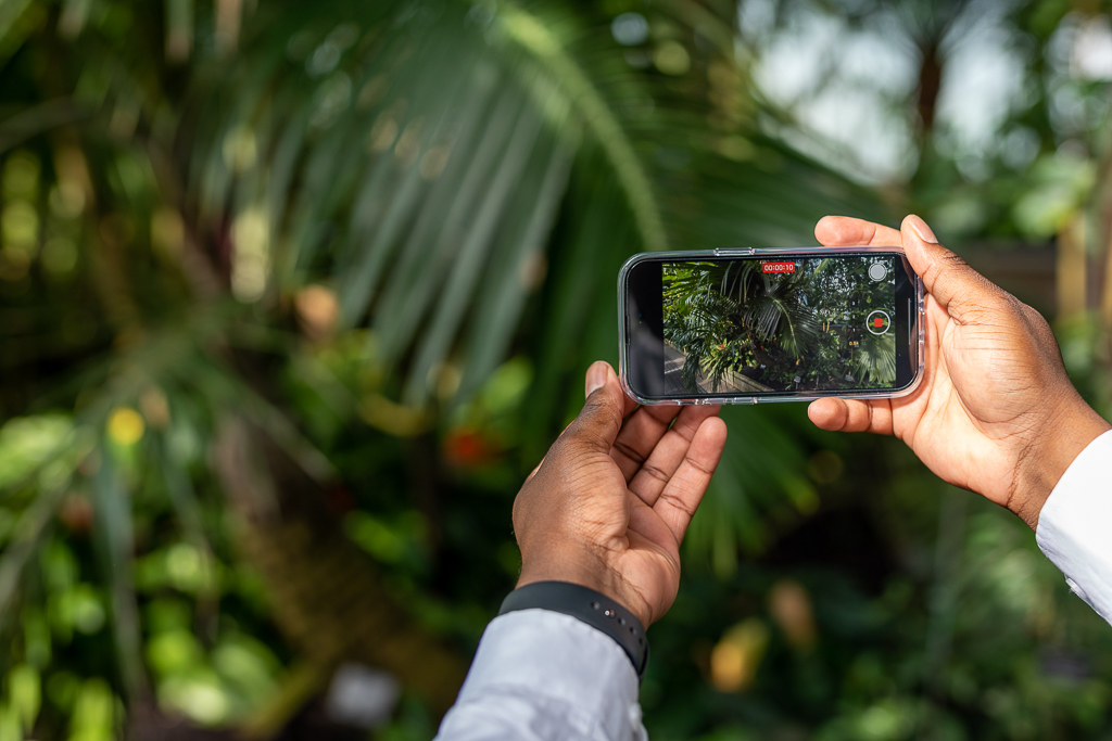 Best smartphones for video | Amateur Photographer