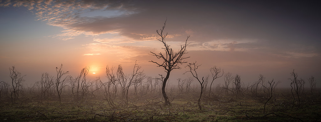 Best photography competitions to enter in 2025