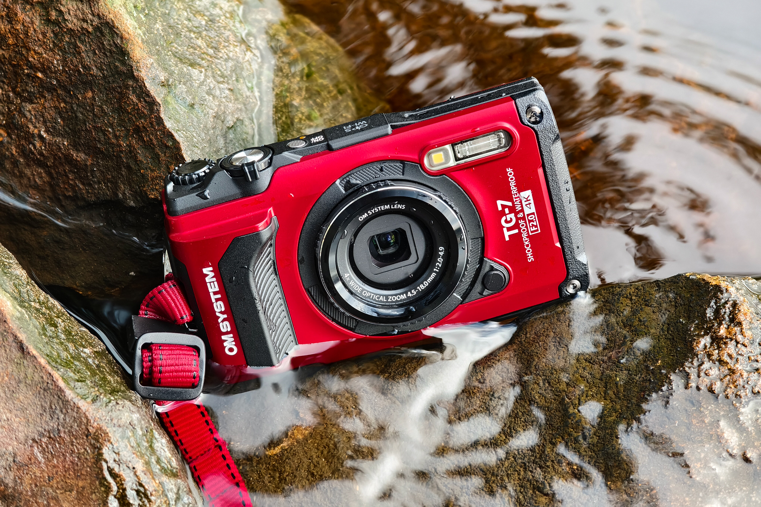 The best travel cameras in 2026: here's how to level up your holiday ...