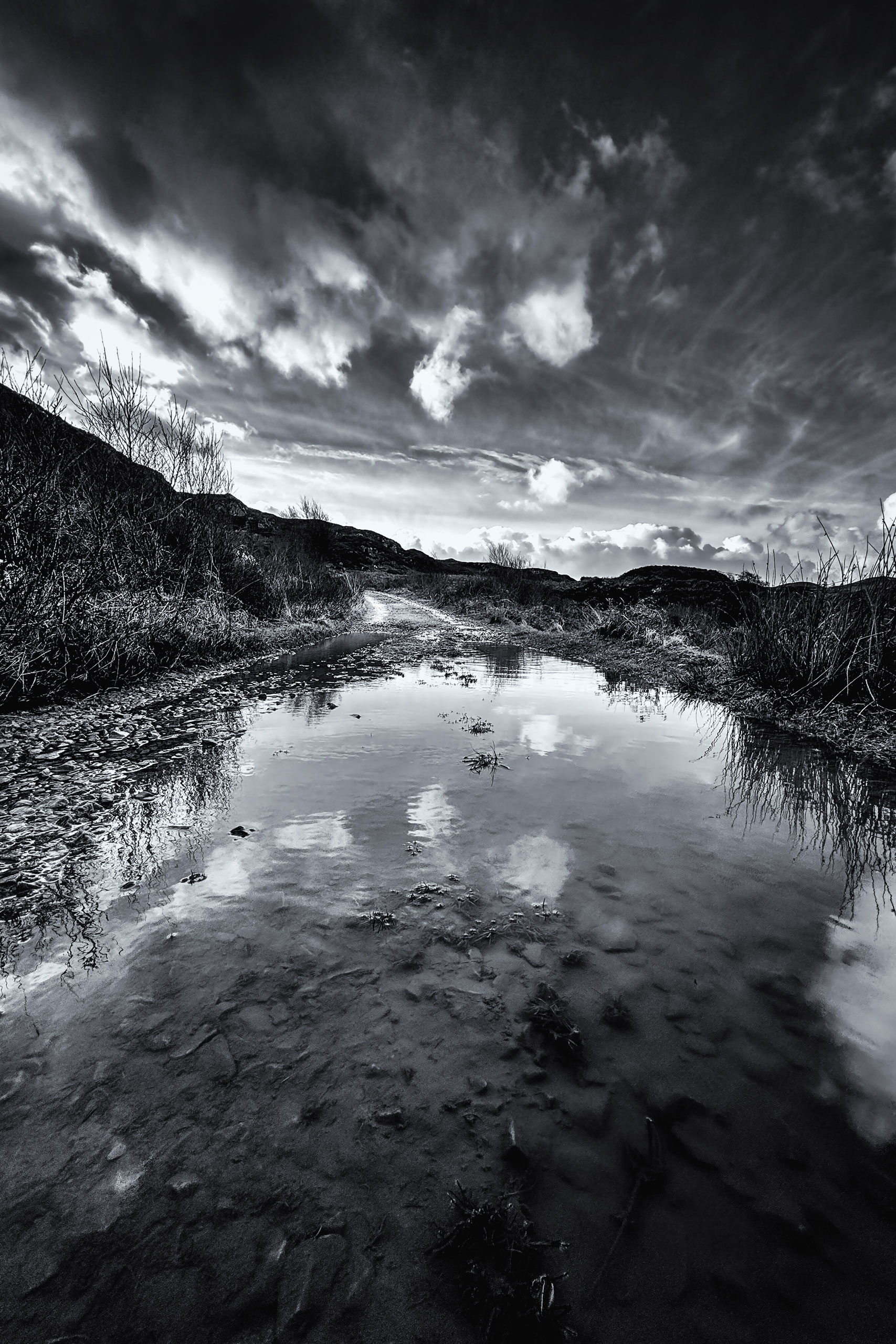 Master Landscape photography with your phone - the complete guide ...