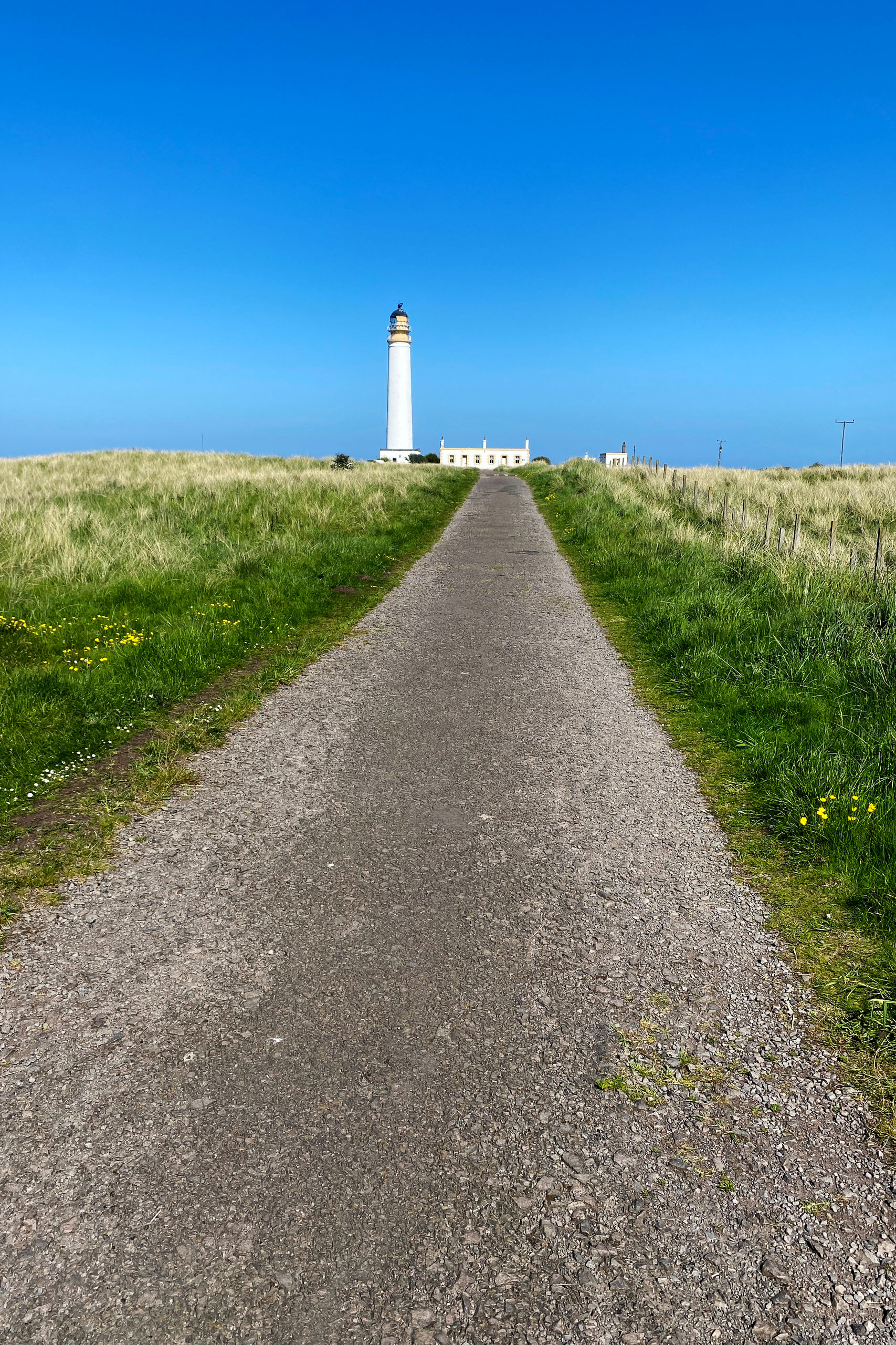 Master Landscape photography with your phone - the complete guide ...