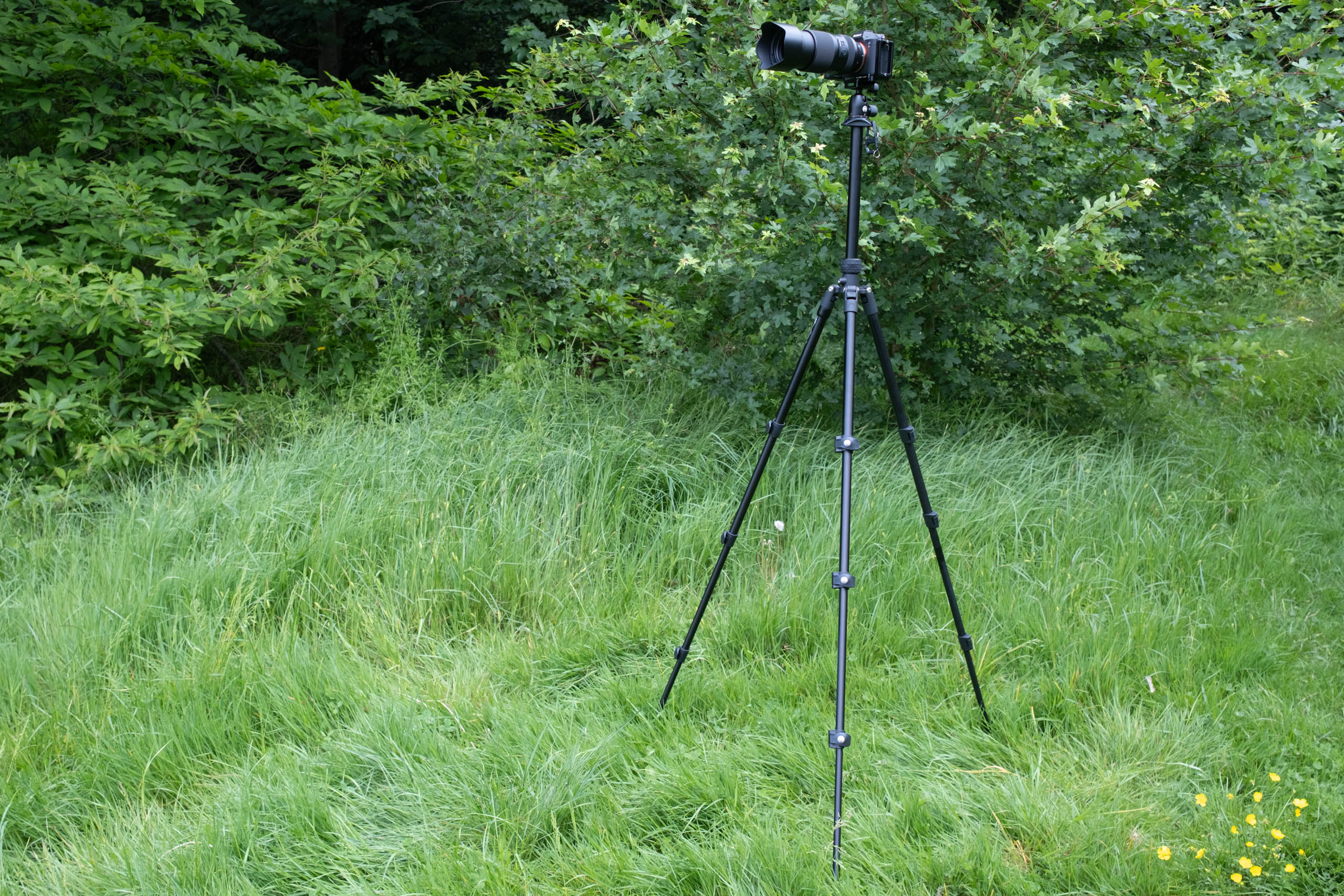 3 Legged Thing Punks Patti 2.0 review - a great value tripod package ...