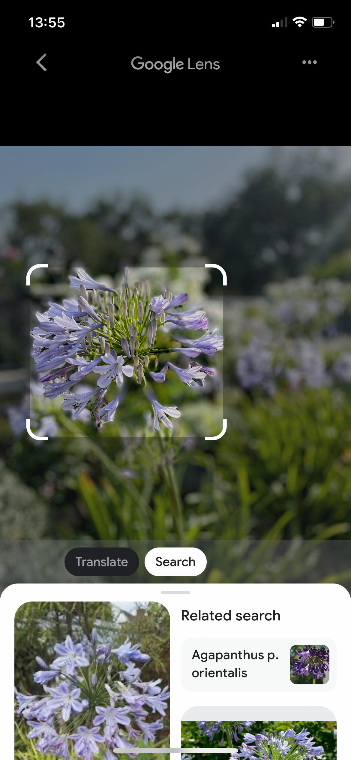 These are the best photo editing apps to use in 2026 | Amateur Photographer